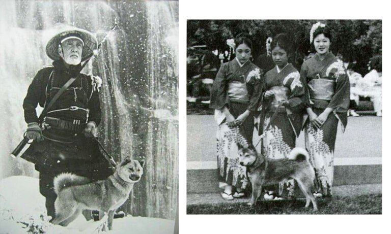 NIHON STORIES: “SHIBA INU” ตัวแทนแห่งสัตว์ที่อยู่เคียงคู่กับวัฒนธรรม ...