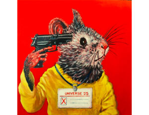 ‘UNIVERSE 25’ BY JOHN CALHOUN การจำลองเมืองแห่งความสุขที่นำไปสู่การล่ม ...